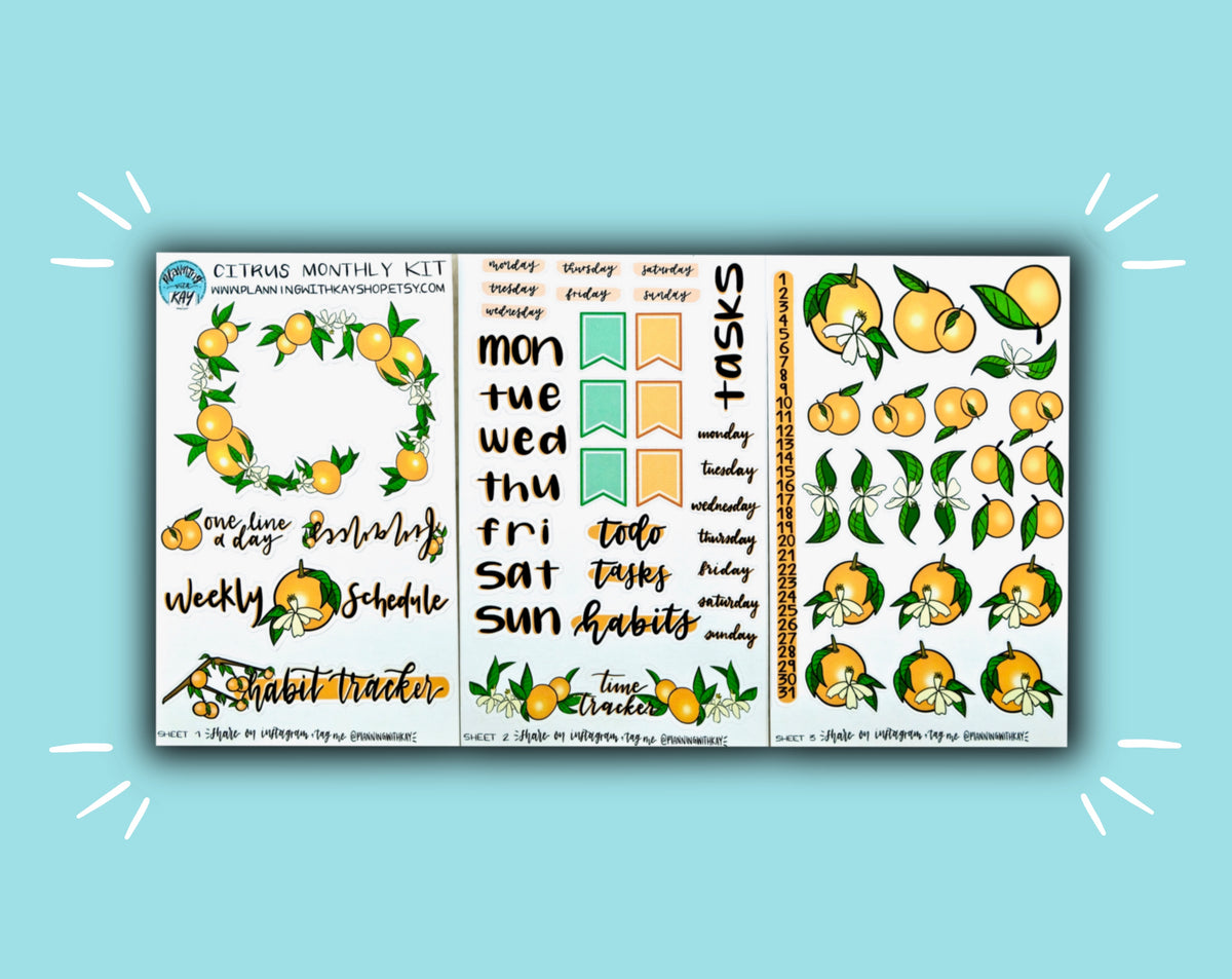 Citrus Monthly Kit | Stickers for Planners, Journals & Organizers ...