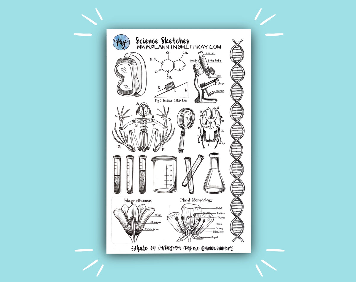 Science Sketches – Planning With Kay